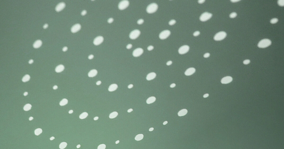 Hua Parakore: A brief history | Stone Soup Syndicate