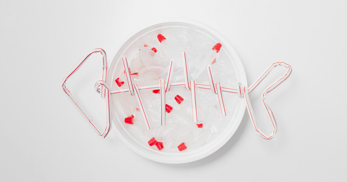 The Ocean is a Plastic Soup | Stone Soup Syndicate